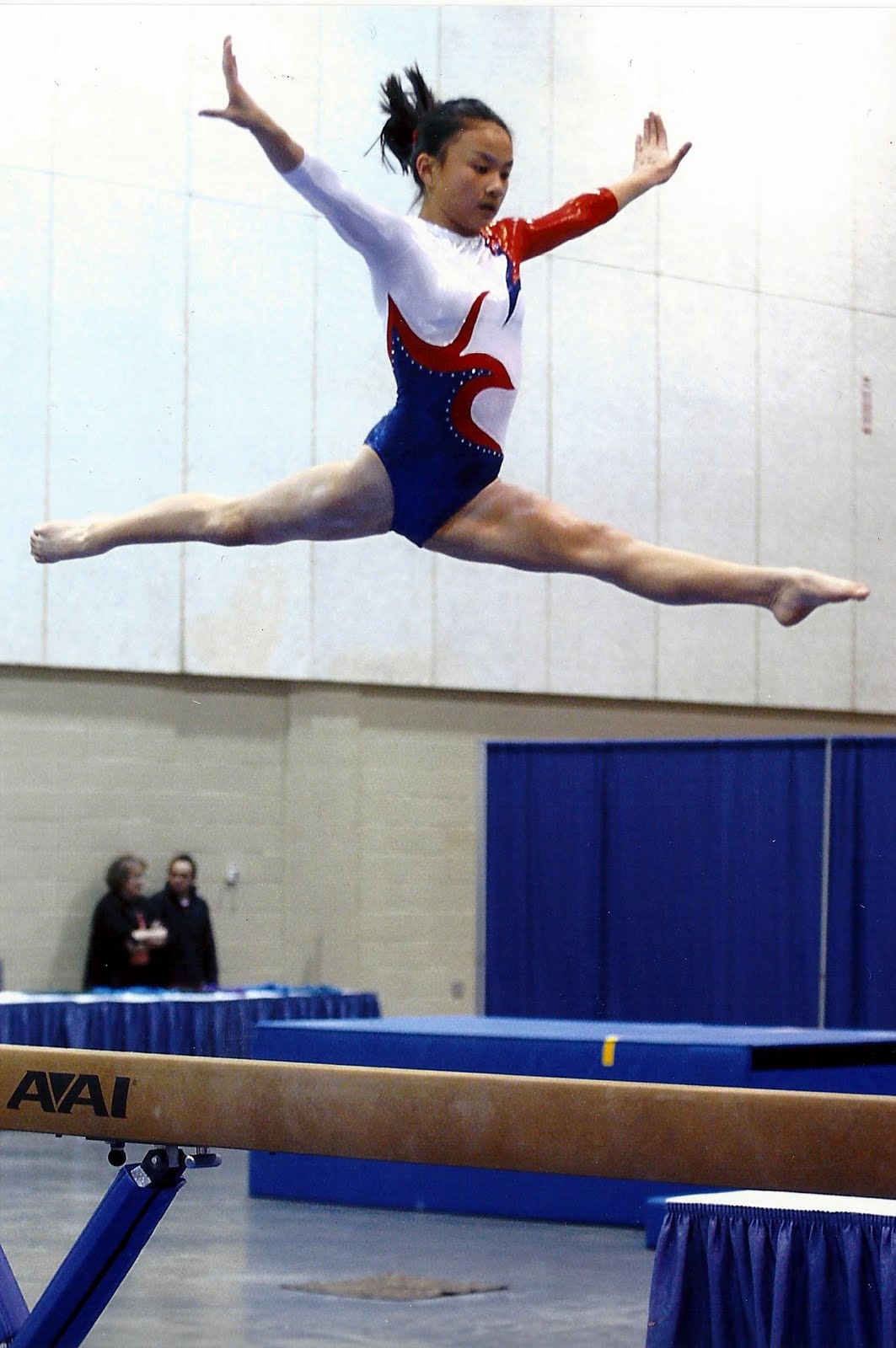The Persons Family Journey: State Gymnastic Meet in Huntsville for Prep ...