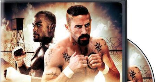 Undisputed Collection (2002-2010)