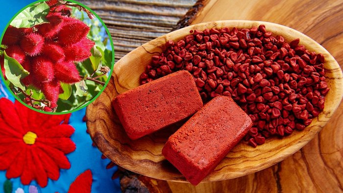 PLAAN : Achiote - Bixa orellana