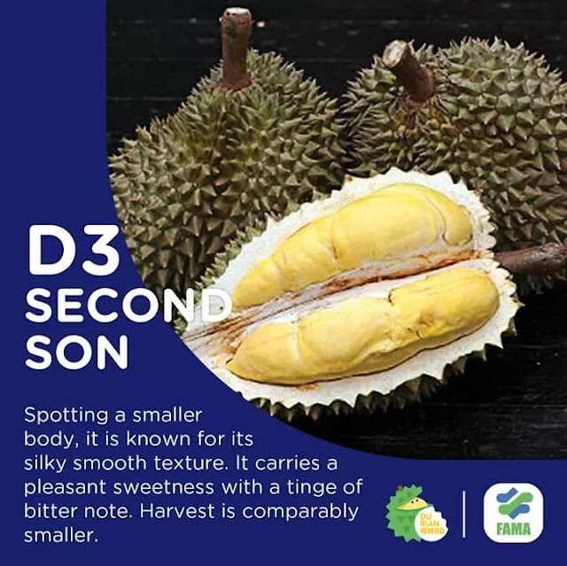 24 Jenis-Jenis Durian Beserta Nombor Code Yang RARE, Jarang Kita Dengar