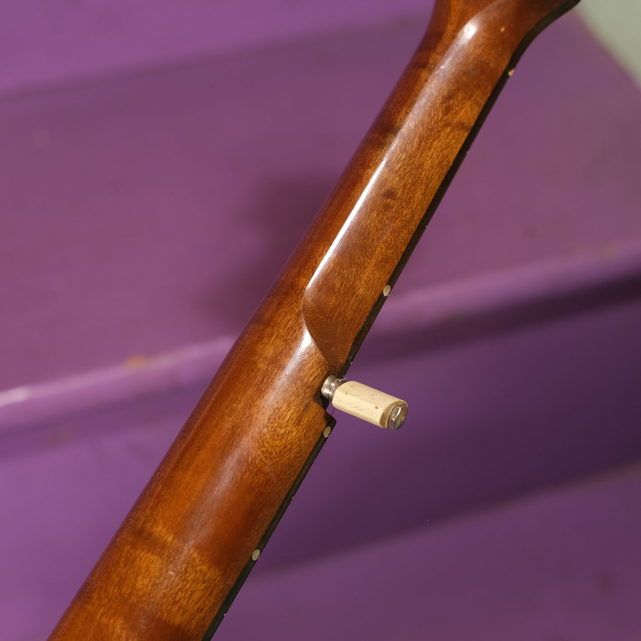 1900s Alfred Cammeyer Banjola (5-String Wood-Topped Banjo)