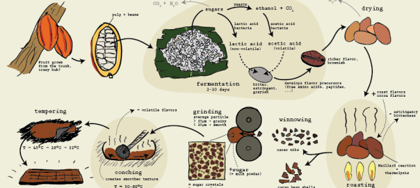 A Woodsrunner's Diary: Chocolate Preparation & Serving Vessels in Early ...