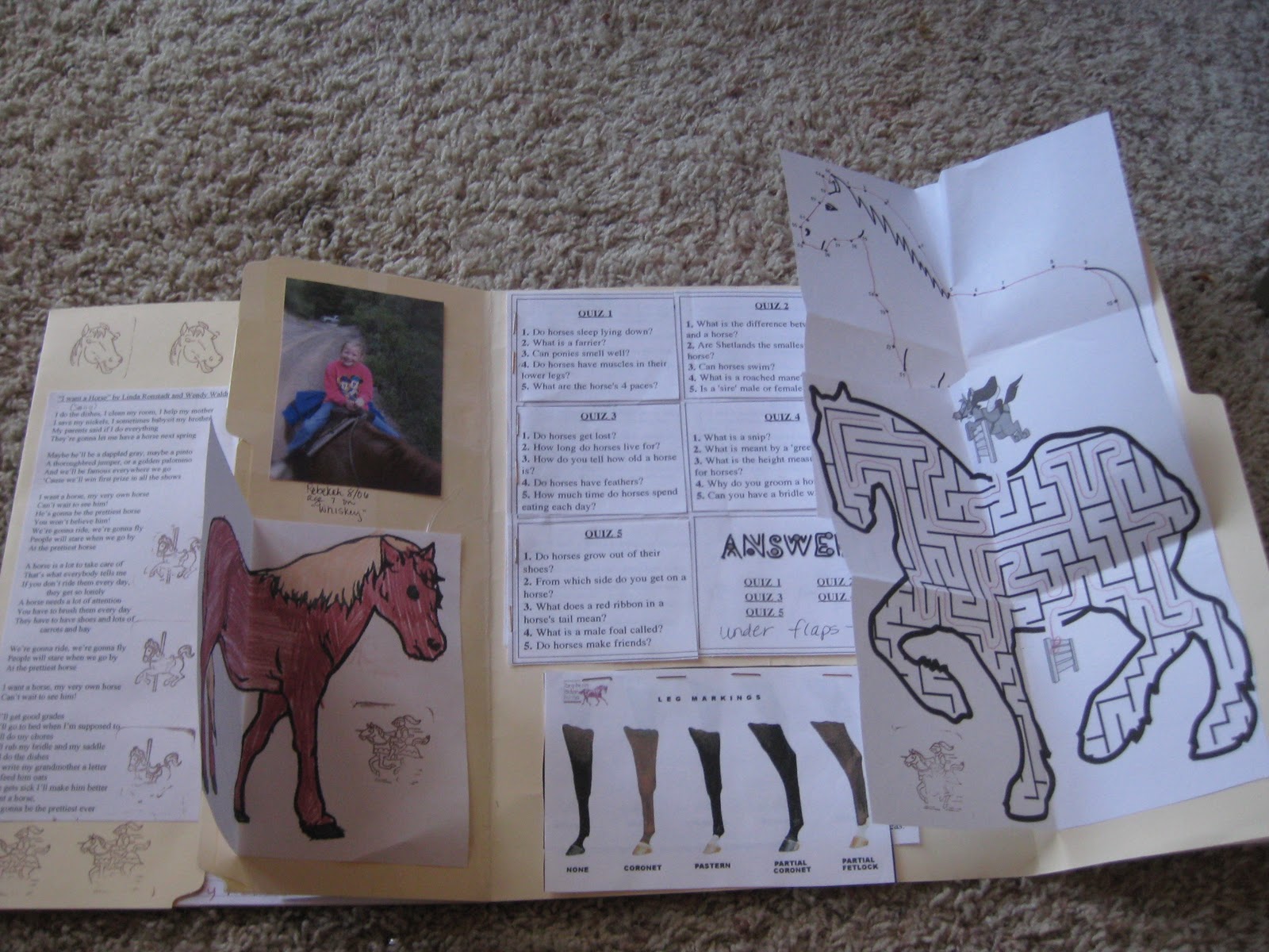 Thy Word: Horses lapbook