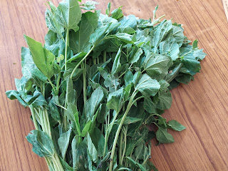 Chakotha soppina masoppu saru / Mountain spinach mashed sambar