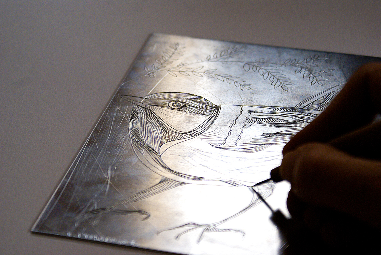 ZOOGRAPHICO: Cinciallegra - incisione puntasecca