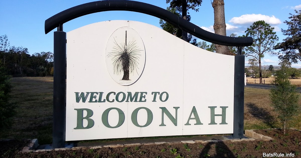 Boonah Queensland after the Megabat dispersal 05/07/2014 Flying-fox ...
