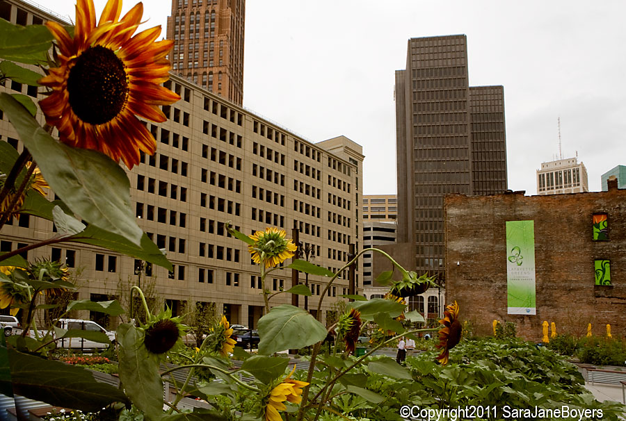 DETROIT: DEFINITION: Summer In The City