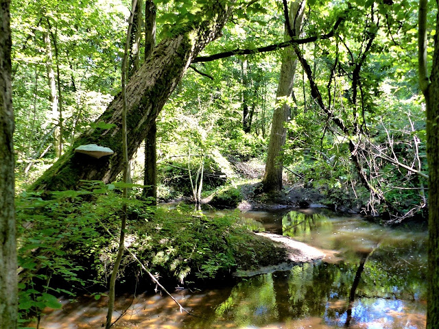 Mooiste Routes: Roggel wandelen, Wandelende Beken