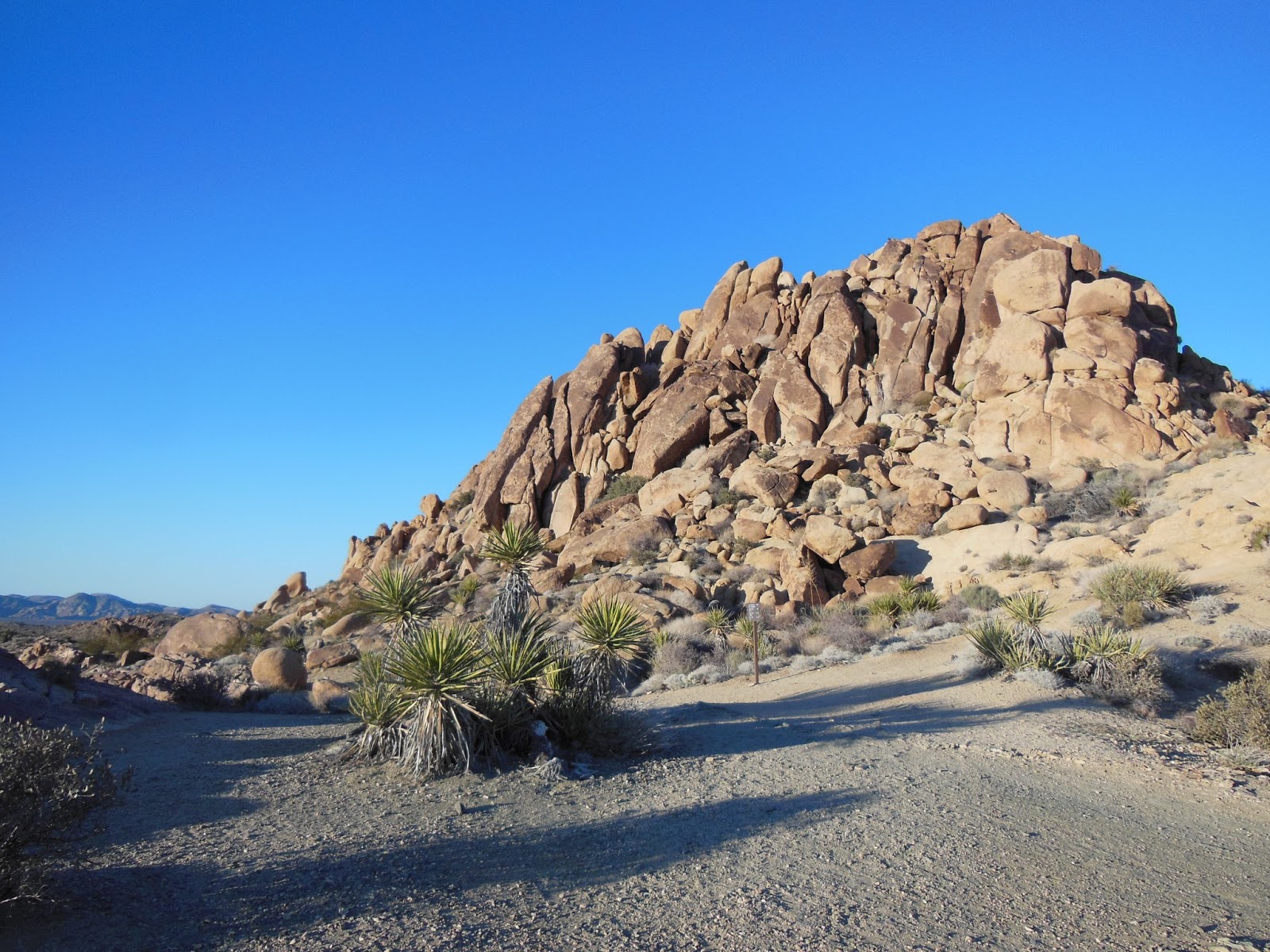 Brian and Ashley's Hiking Blog!: Mastodon Peak Hike in Joshua Tree ...