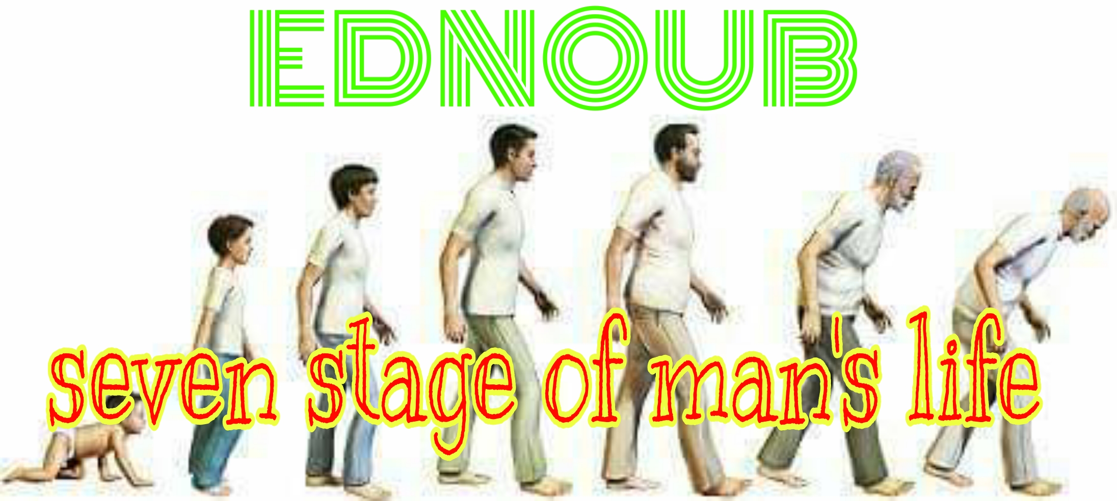Seven Stages of Man's life