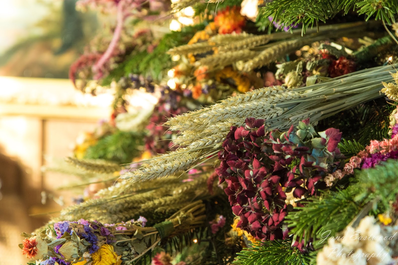 Escapes and Photography: Christmas at Baddesley Clinton