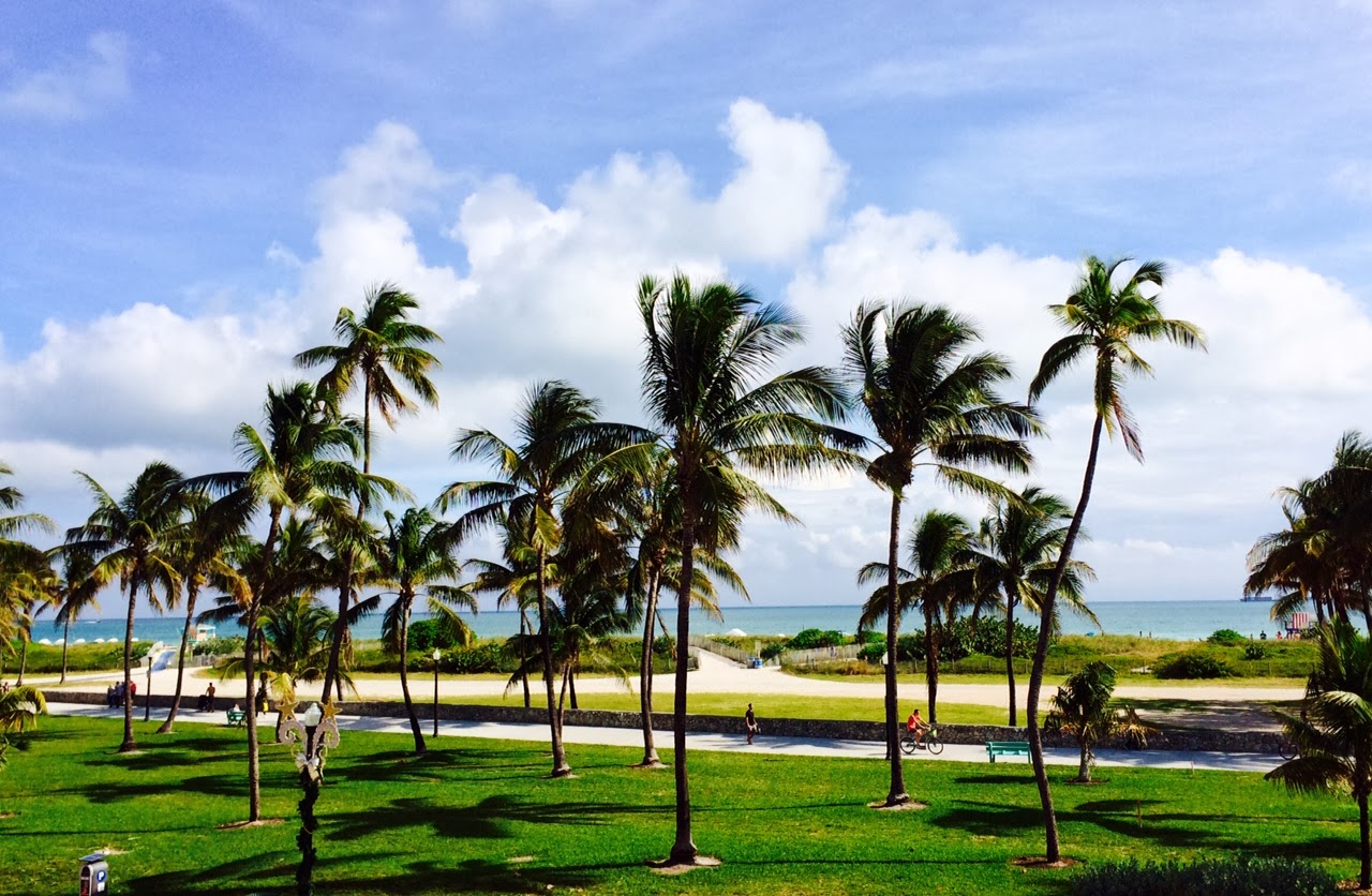 Miami: View of the day - The Randy Report