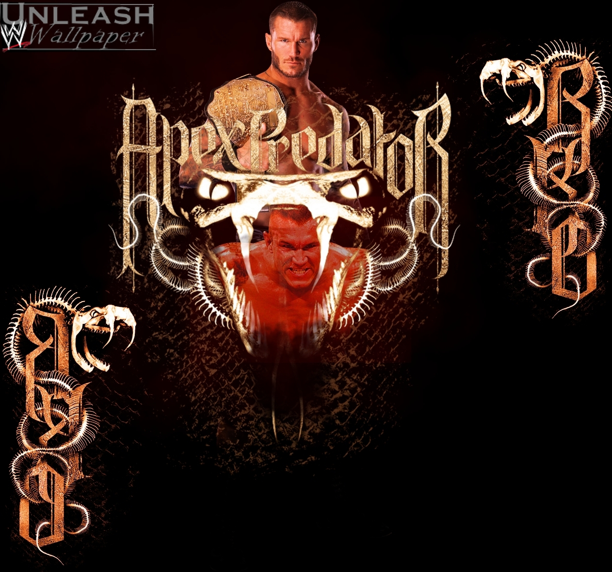 WWE Wallpaper: Wallpaper Of The Viper Raaaannndy Orrrrrton in HD