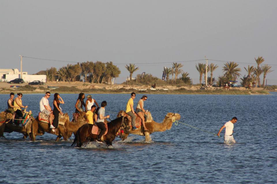 Djerba :L'île des rêves ! ~ Tunisie Tourisme, Guide du voyage et du ...