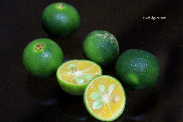 How to Cure Niknik (Sand Mite) Bites - blissfulguro