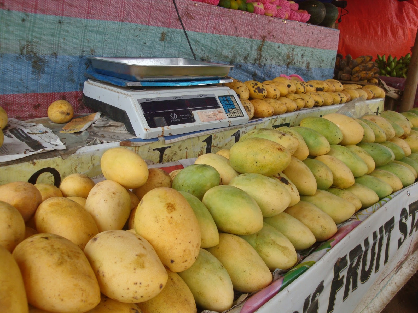 Chingky Quijano ♥: Discover Guimaras!