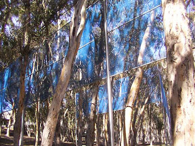 SCA-LARC: Two Running Violet V Forms