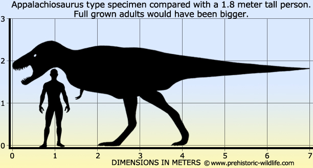 Extinct Animal of the Week: Bones in Alabama