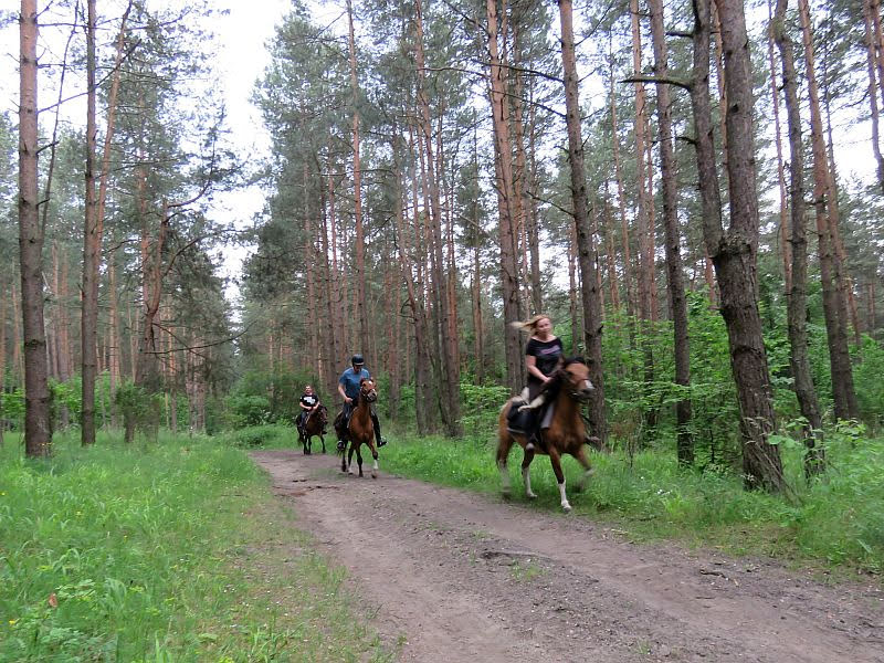 Zanim znów wyruszysz w góry - przewodnik na górskie wędrówki