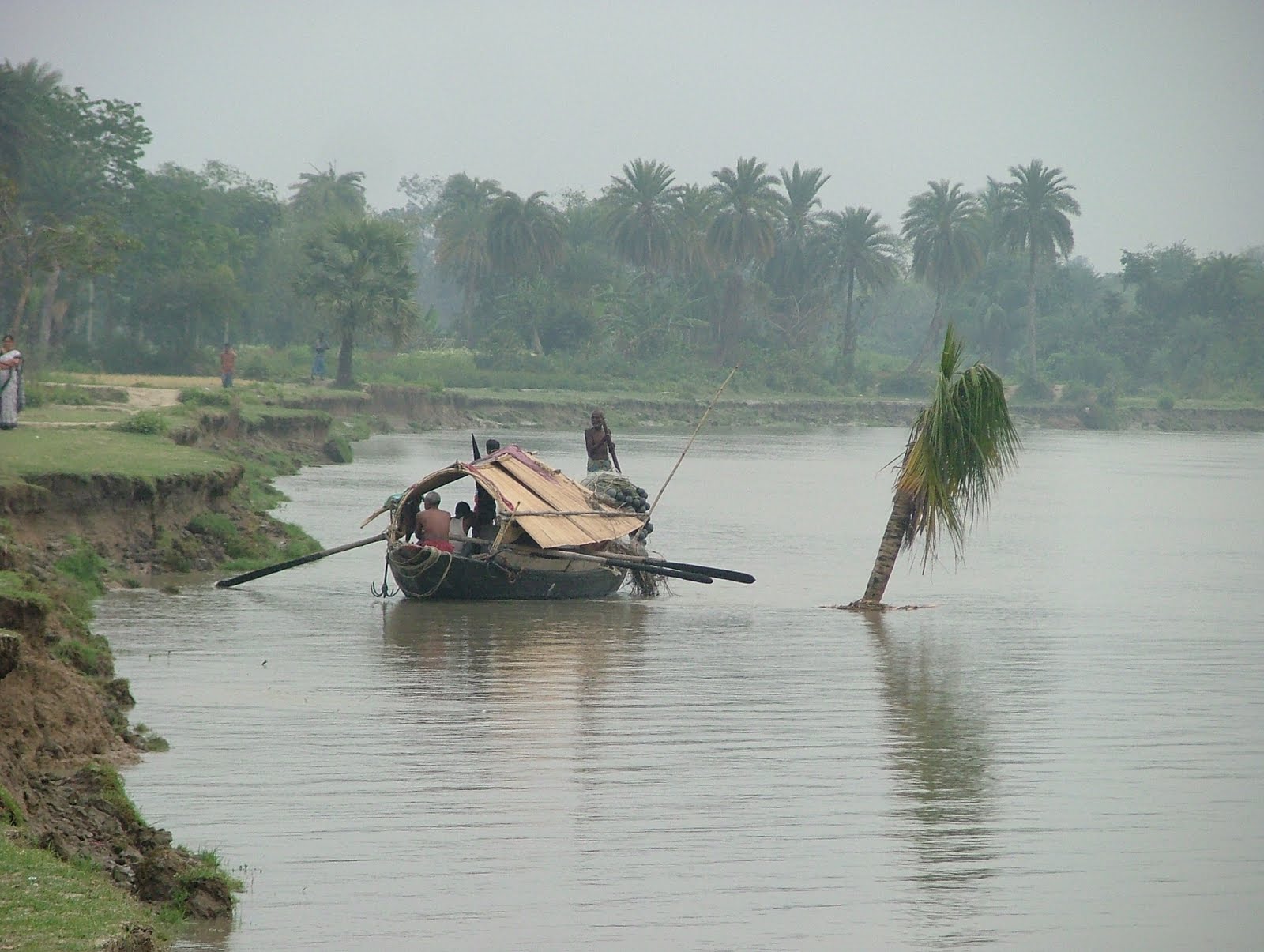 Idle brain's paradise: Deulti