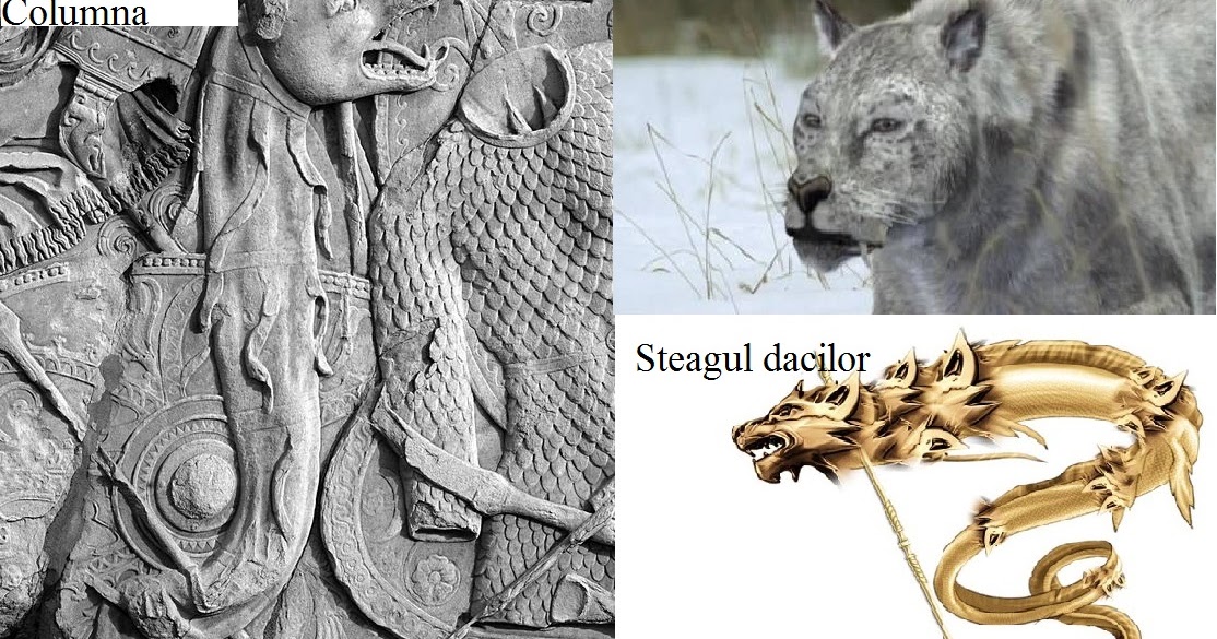 Acasa la Nevasta: Steagul Dacilor - Leu