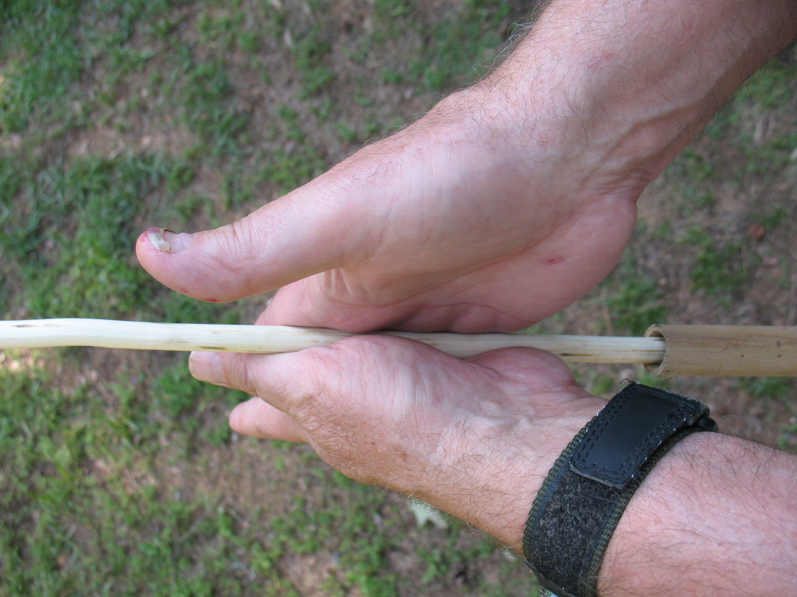 Sensible Survival: Make a River Cane Blowgun