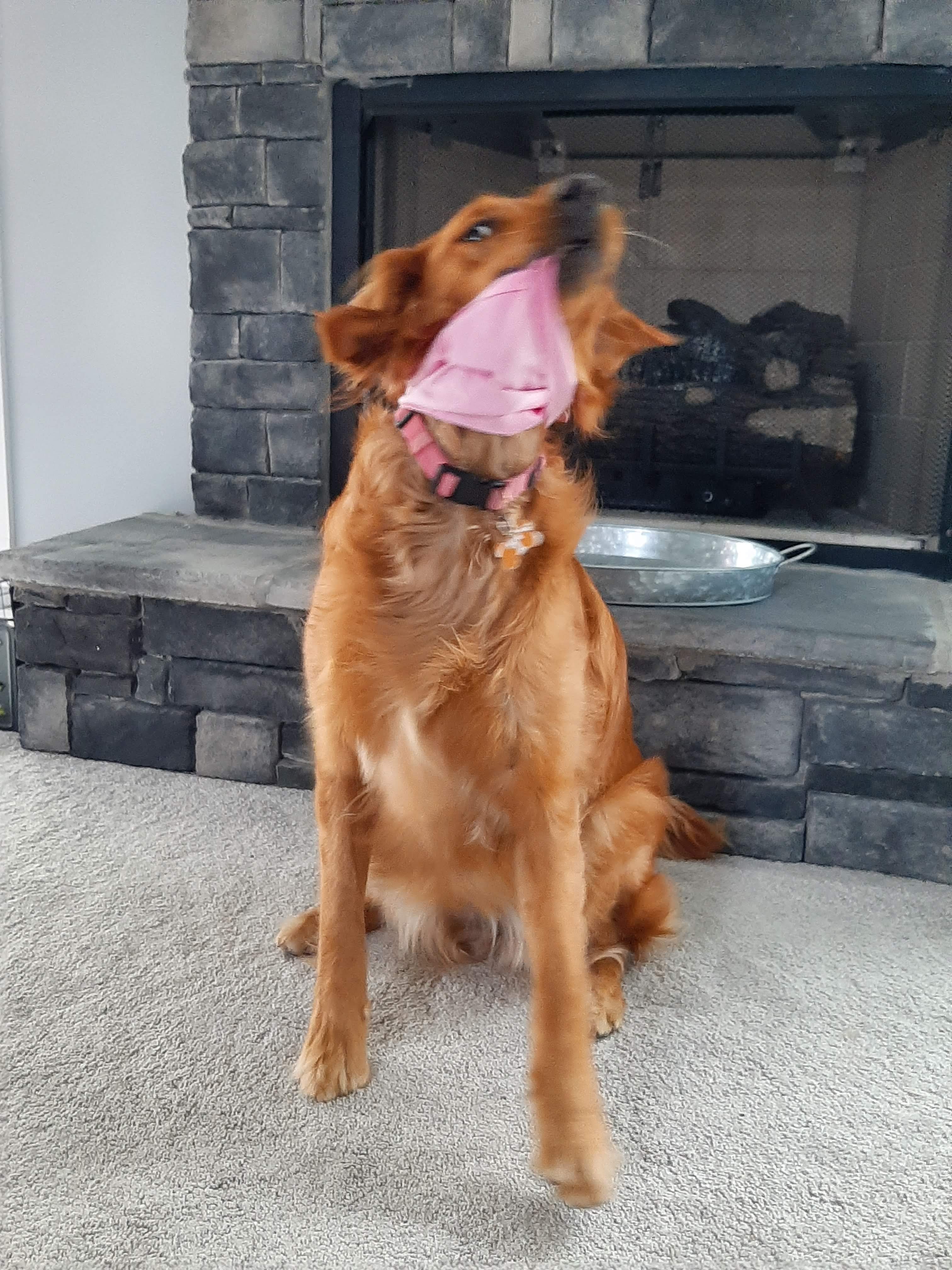 Newest Raborns on the Block!: Lucy Cove Raborn Growth Updates!