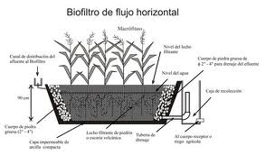 BIOFILTROS