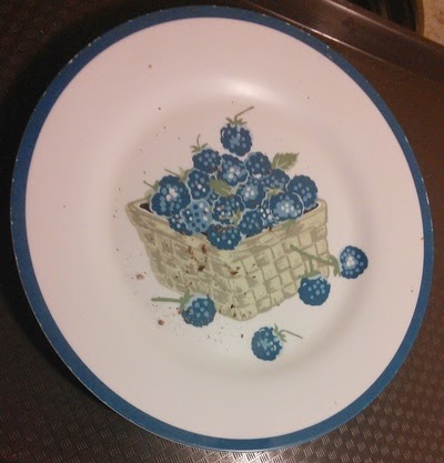 StephMemorial: Blueberries from Bannister Mall