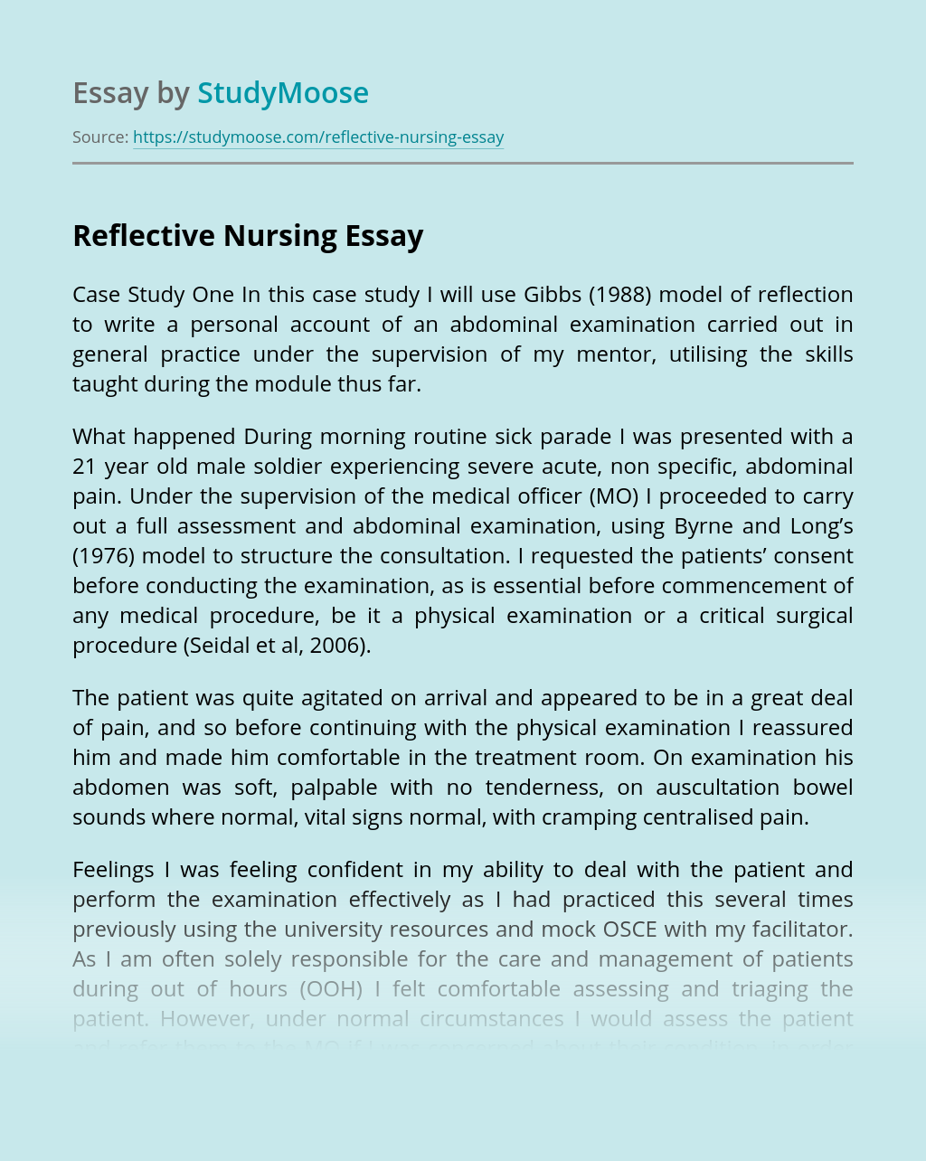 Reflective Essay Examples Nursing ~ Resume Letter