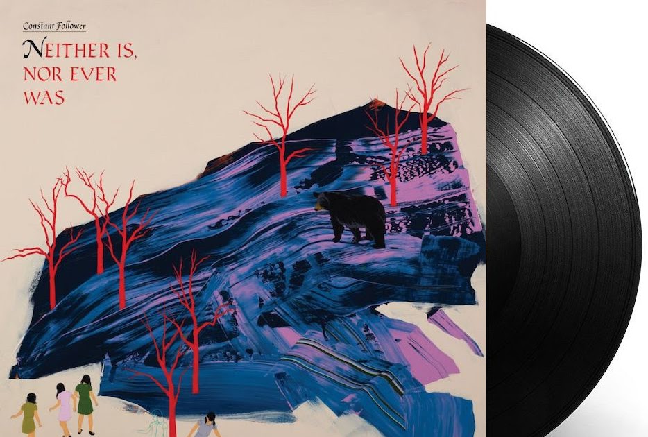 De krenten uit de pop: Constant Follower - Neither Is, Nor Ever Was