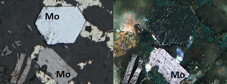 Microscopia de Menas: Molibdenita