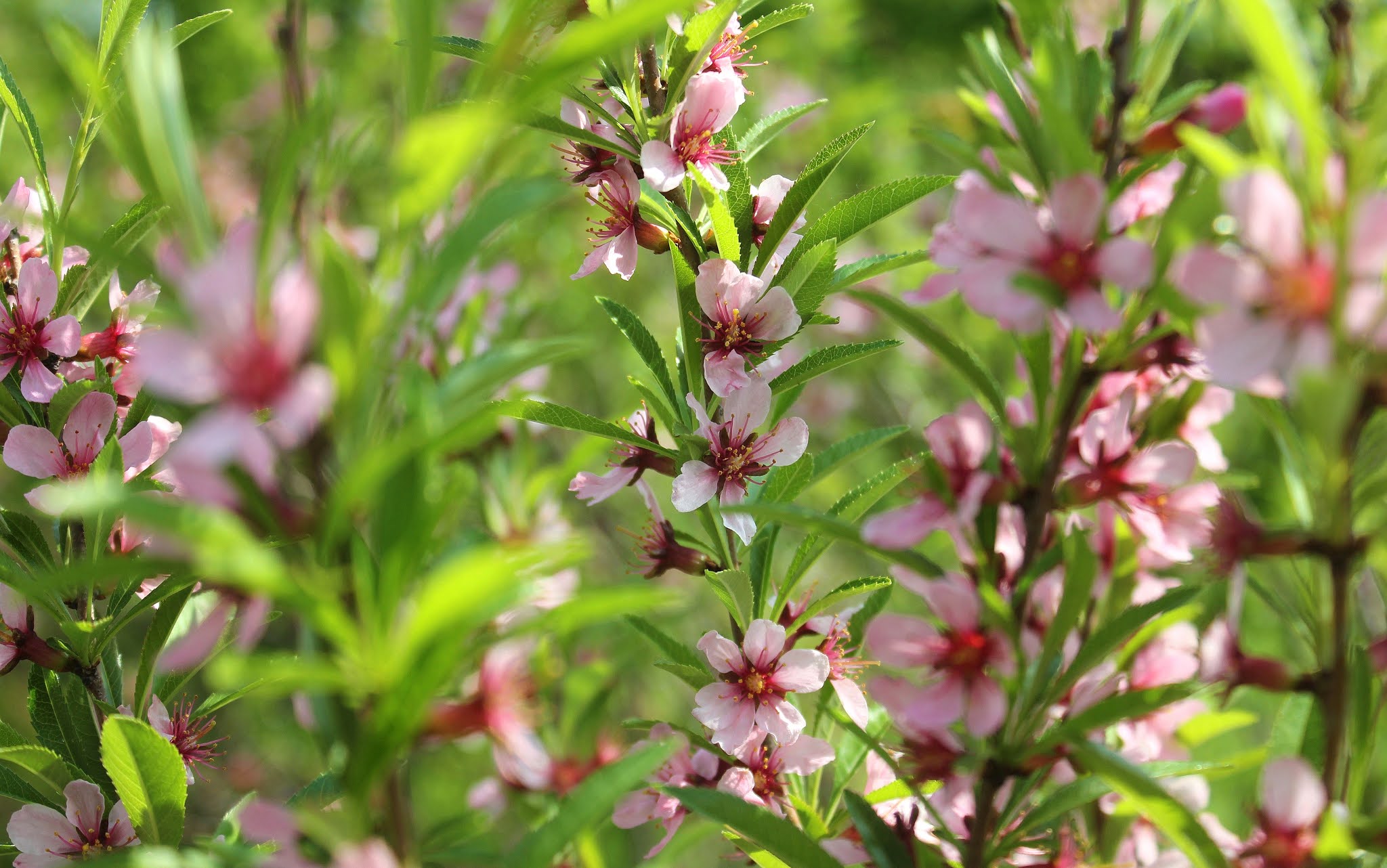 Travel & Adventures: Moscow, Russia, four seasons. The Nature of Moscow ...