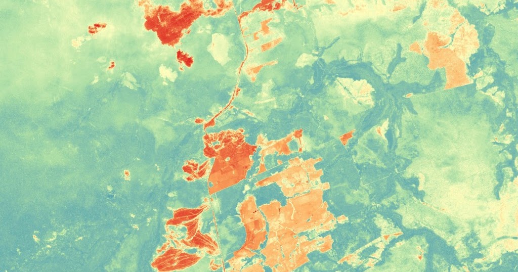 From GIS to Remote Sensing: How to Monitor the Fires in the Amazon Rainforest on a Daily Basis