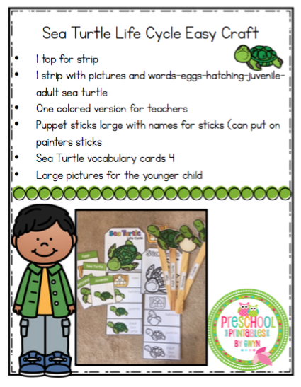 Sea Turtle Life Cycle Easy Craft ~ Preschool Printables