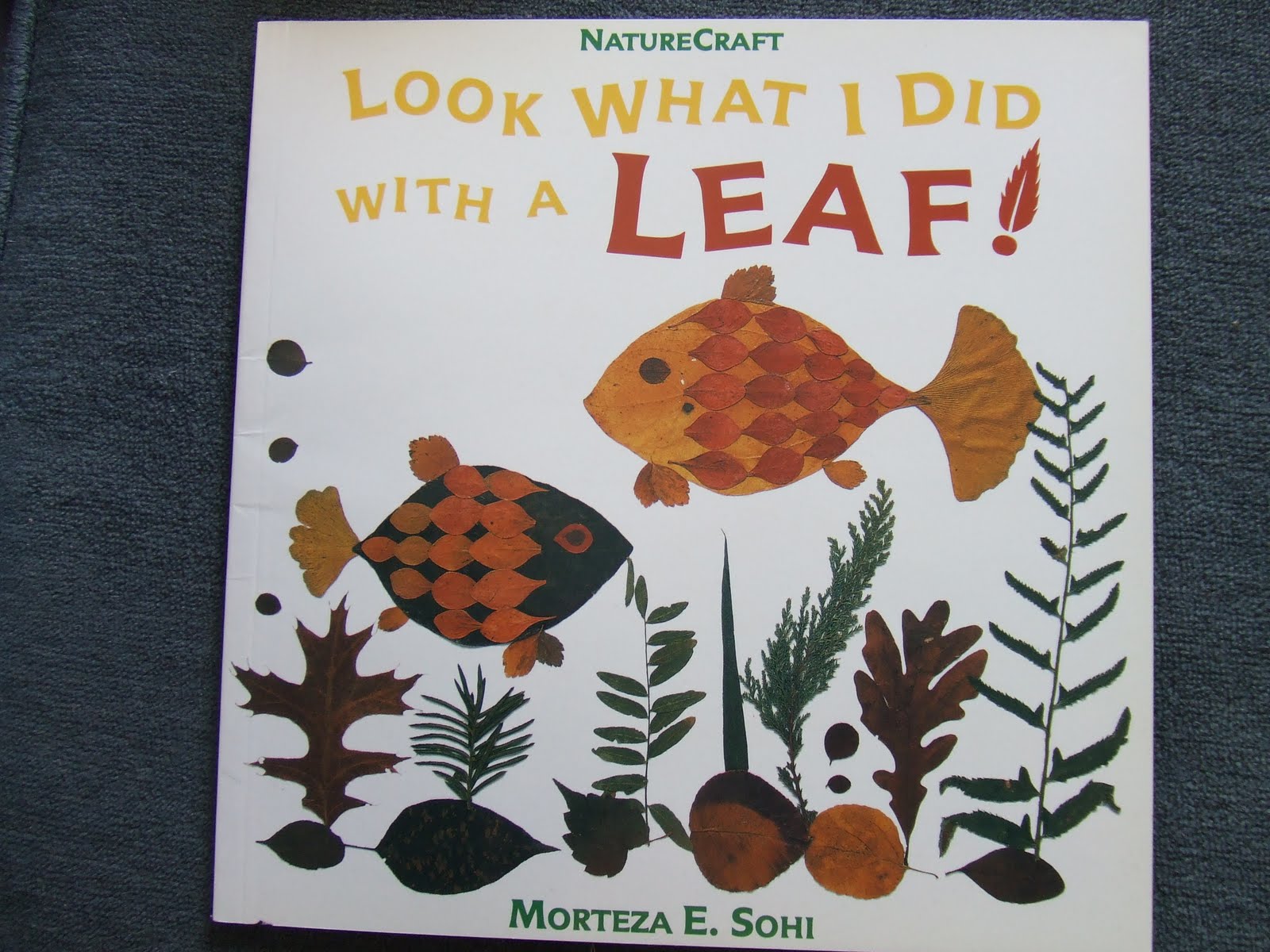 Cachey Mama's World of Learning: Storytime Sunday:Fall Leaves