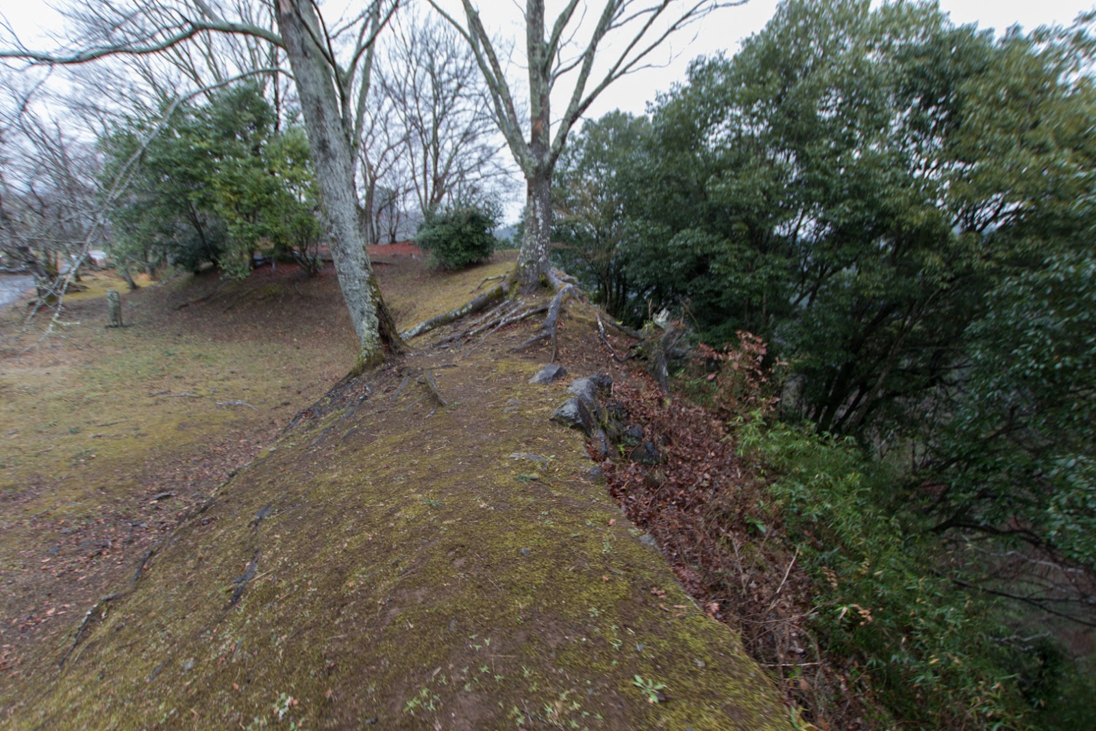 Oka Castle -Fierce battle for fate and fame (6) -Brave general and ...