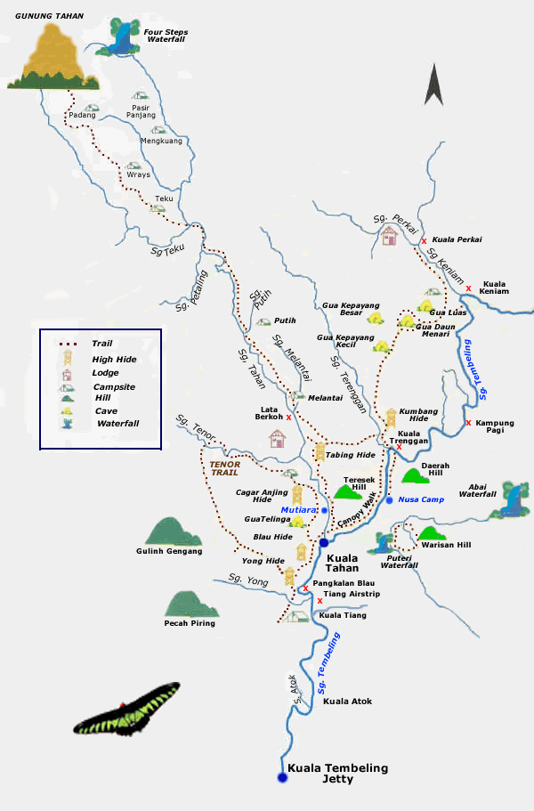 Taman Negara Pahang,National Parks Kuala Tahan, Pahang ~ Travel Hikers