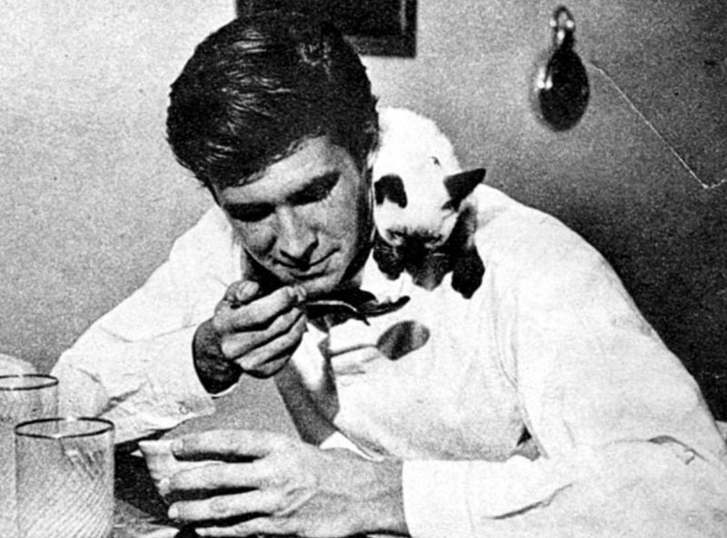 Famous Cat Lovers: Classic Stars and Cats in the Limelight | Vintage ...