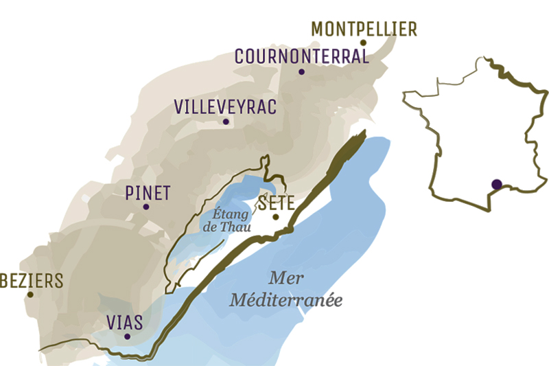 Club des Dégustateurs de Grands Vins: Picpoul de Pinet, Les Pins de ...