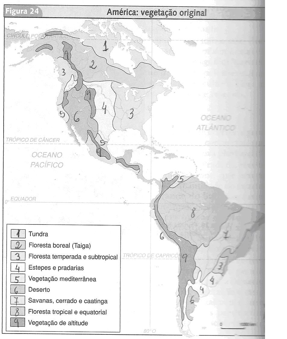PLUGADO NA GEOGRAFIA