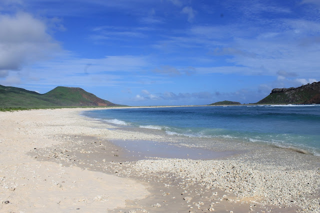 Biodiversidad de "El Bajío Profundo": ISLA CLARIÓN, ARCHIPIELAGO DE ...