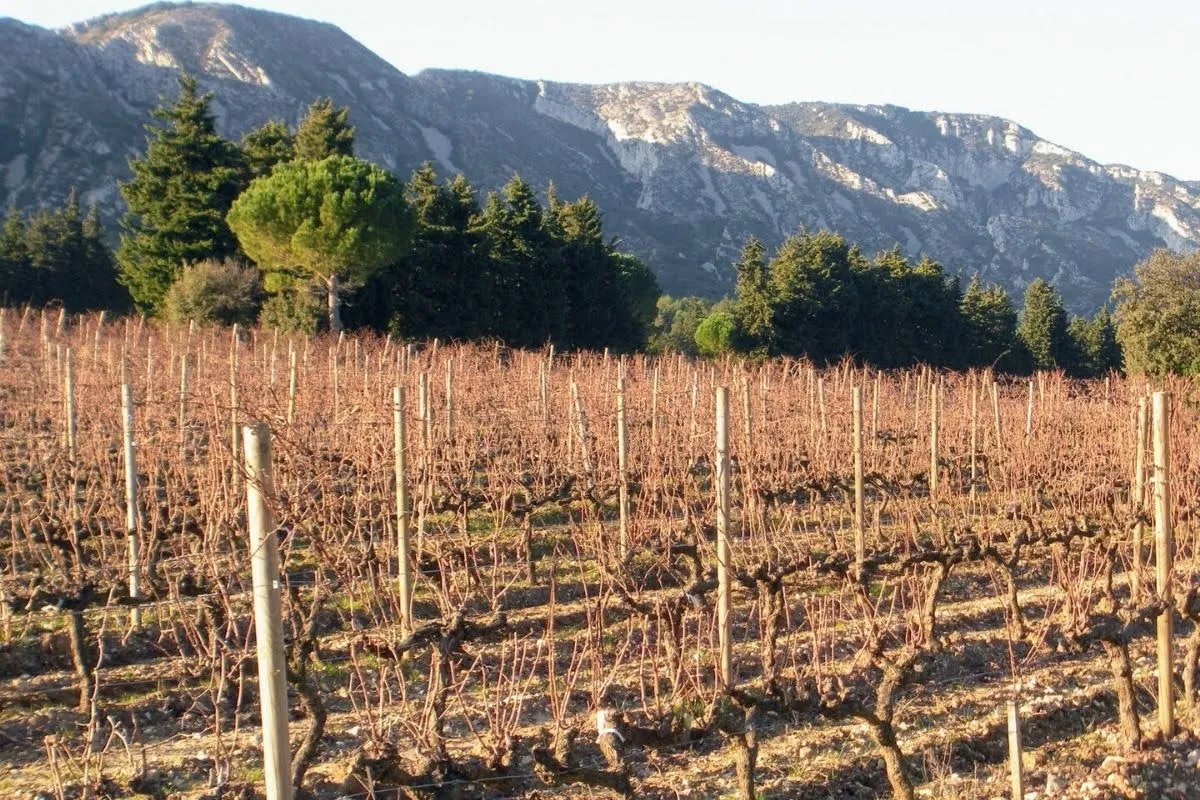 How to Celebrate Christmas in Provence France | Sidewalk Safari | Part ...