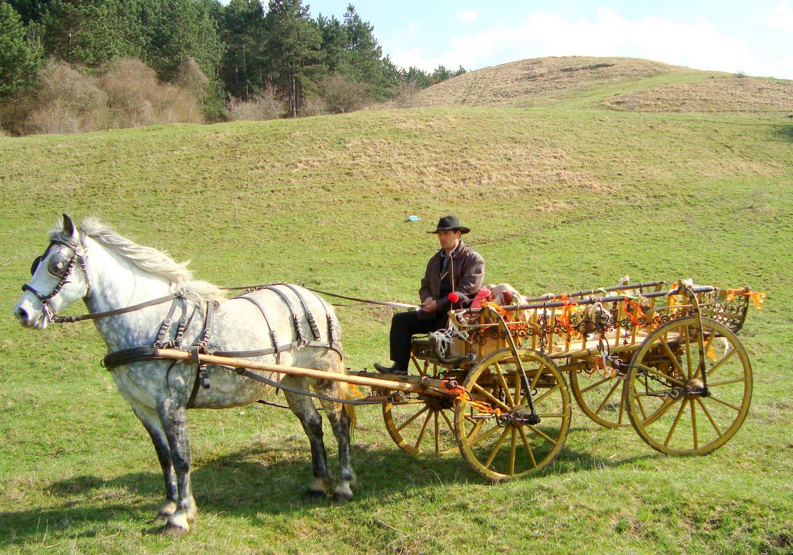 Nunta "Vis-a-Vis": Caruta tiganeasca