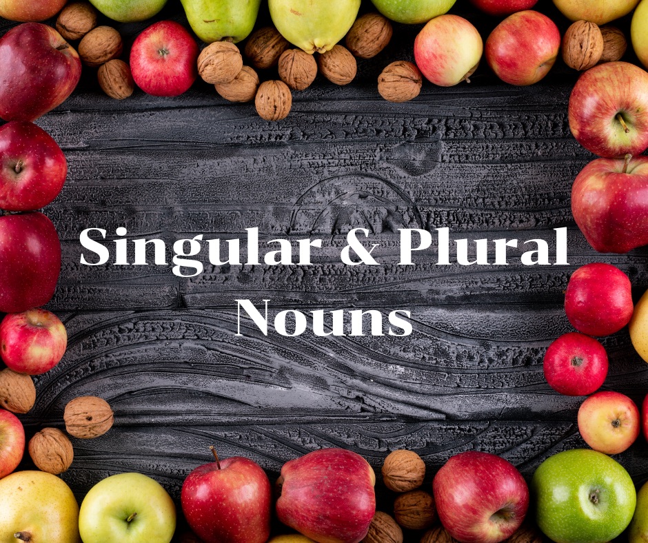 English by Kru Ekachai: Singular vs Plural Nouns
