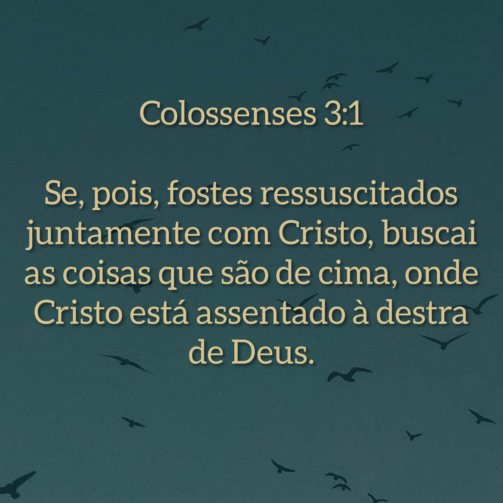 Escrituras Eterna : Palavras da Bíblia - Colossenses 3:1