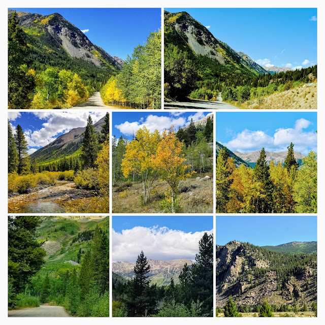 Mille Fiori Favoriti: Ghost Towns of Vicksburg and Winfield, Colorado