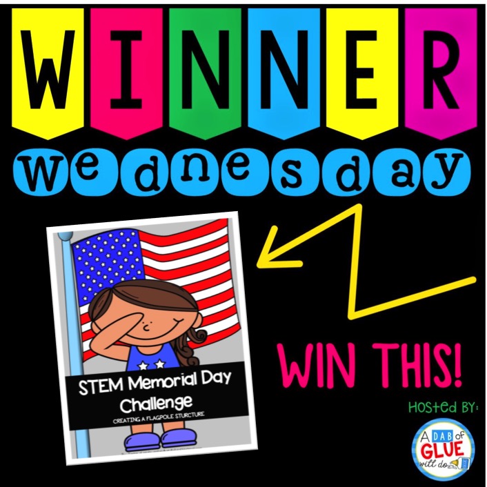 Neat Sweet & Hard to Beat: Winner Wednesday! STEM Memorial Day Challenge