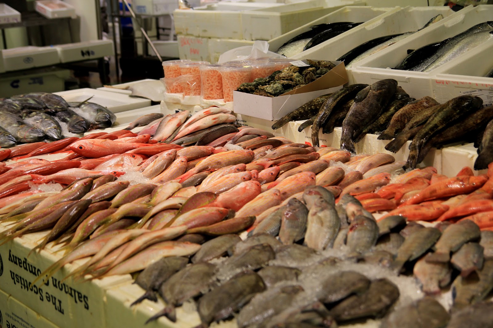 Cafe Creatures: LONDON: Billingsgate Market and Lemon Sole