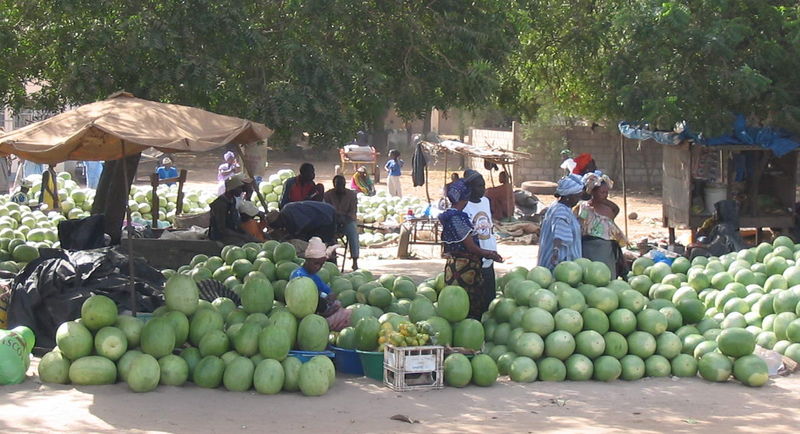 .: Les fruits du Sénégal